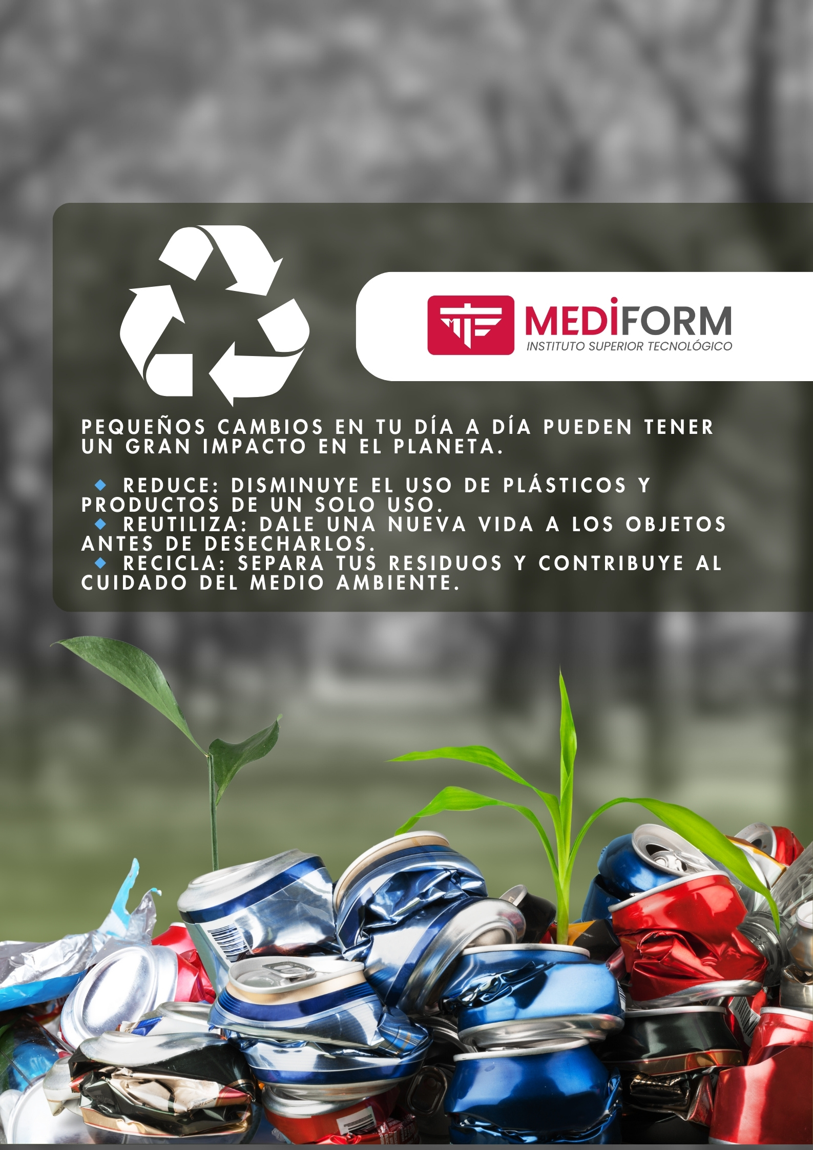 Innovación y Medio Ambiente - MEDIFORM - Instituto Superior Tecnológico